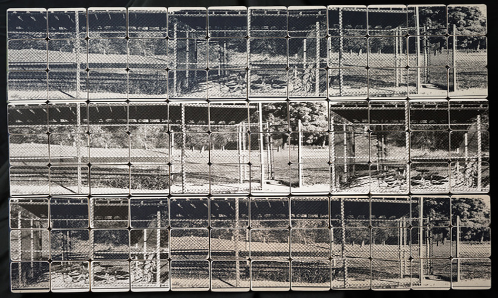 Allegany County Arts Council