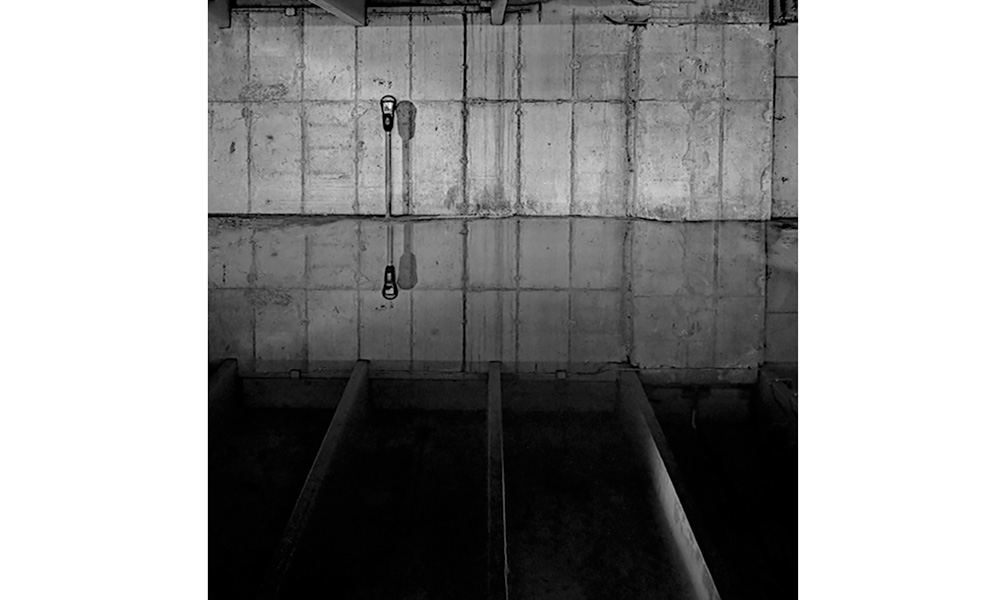 Allegany County Arts Council