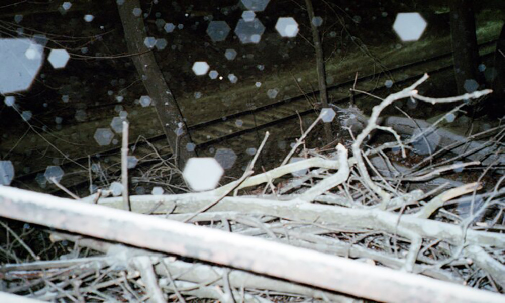 Allegany County Arts Council