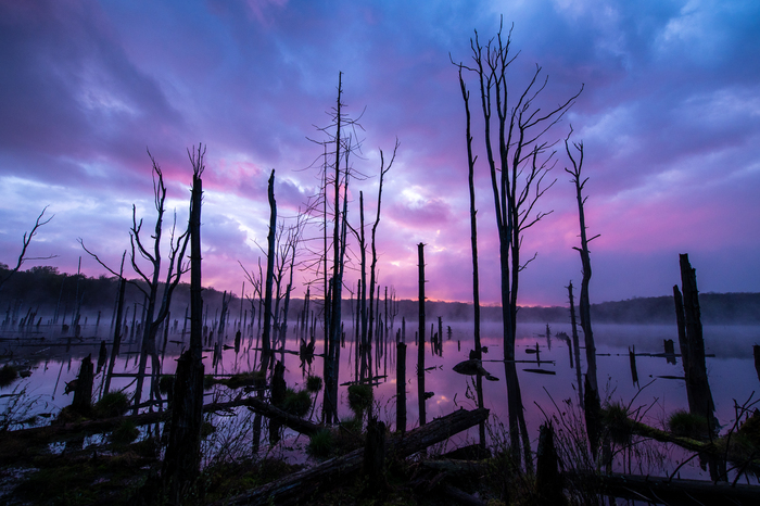 Allegany County Arts Council