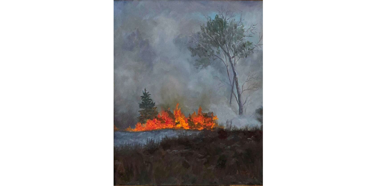 Allegany County Arts Council