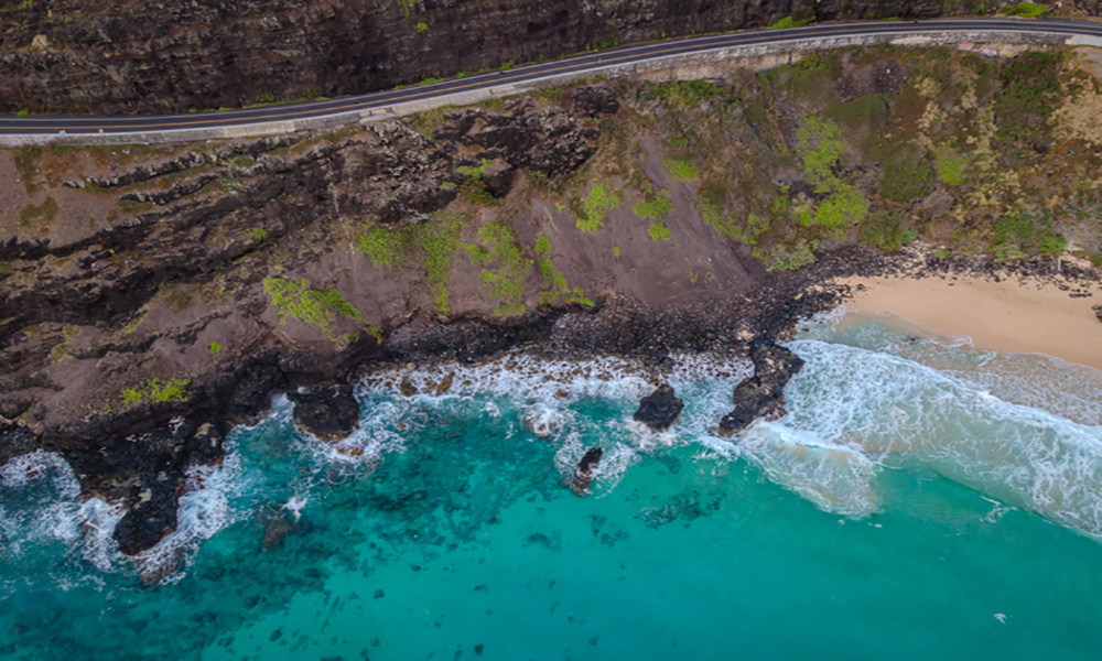 Allegany County Arts Council