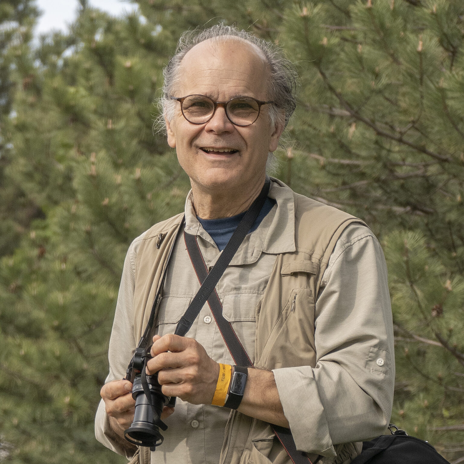 Artist Details: Brian Sesack – The Allegany Arts Council